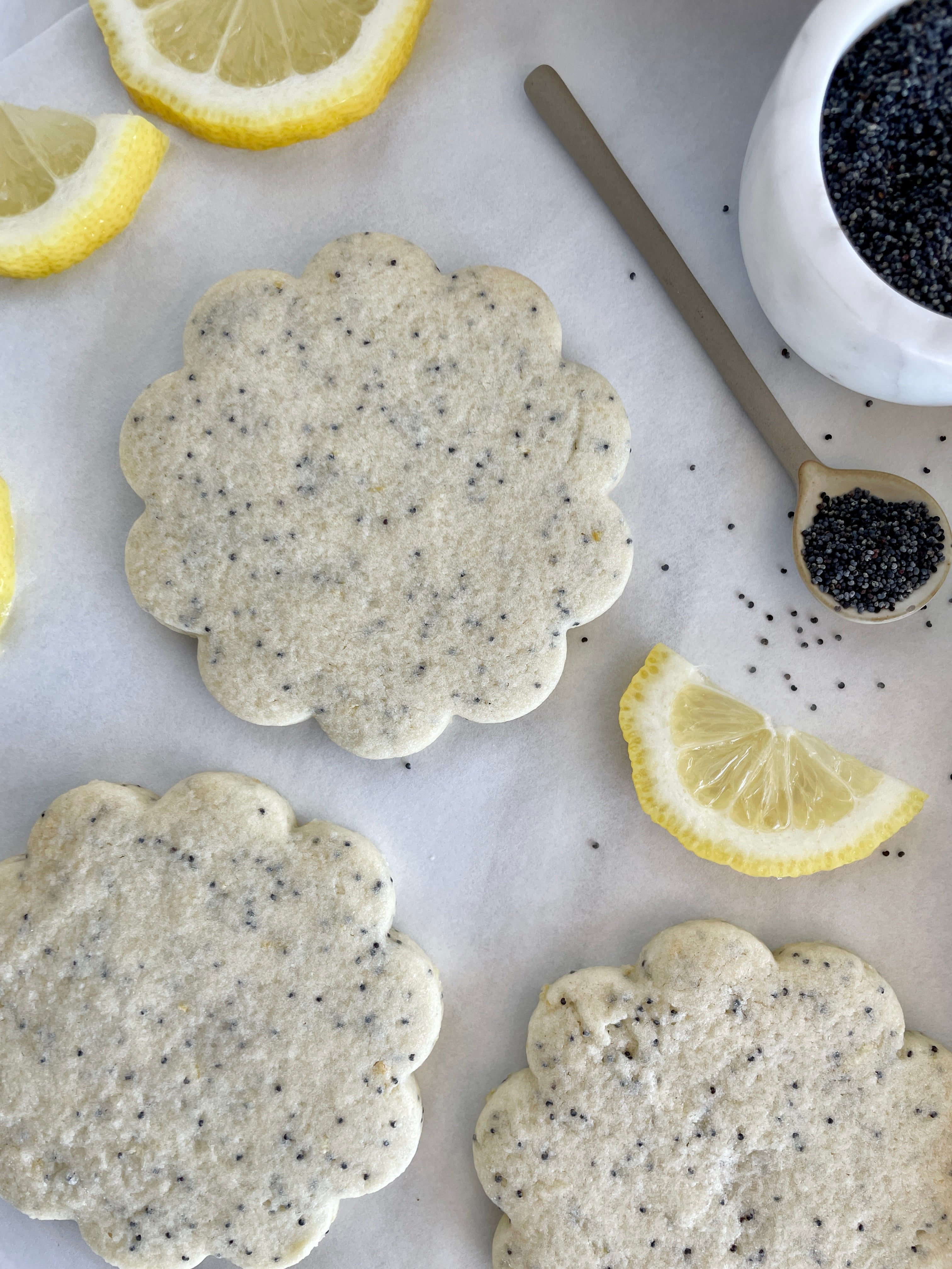 Lolly's Lemon Poppy Seed Sugar Cookie Recipe – Lolly's Home Kitchen